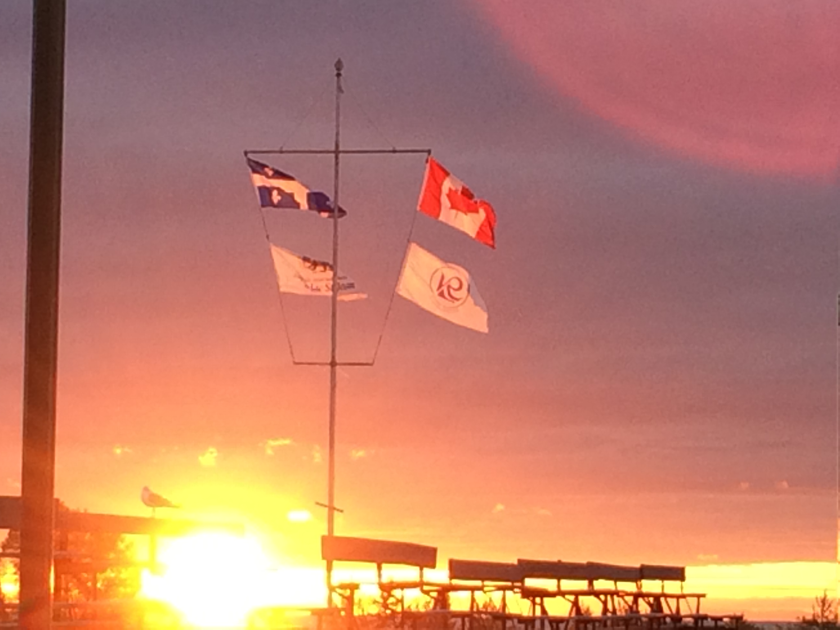 5 Questions with Dr. Jane Thornton — what is the physical activity ...